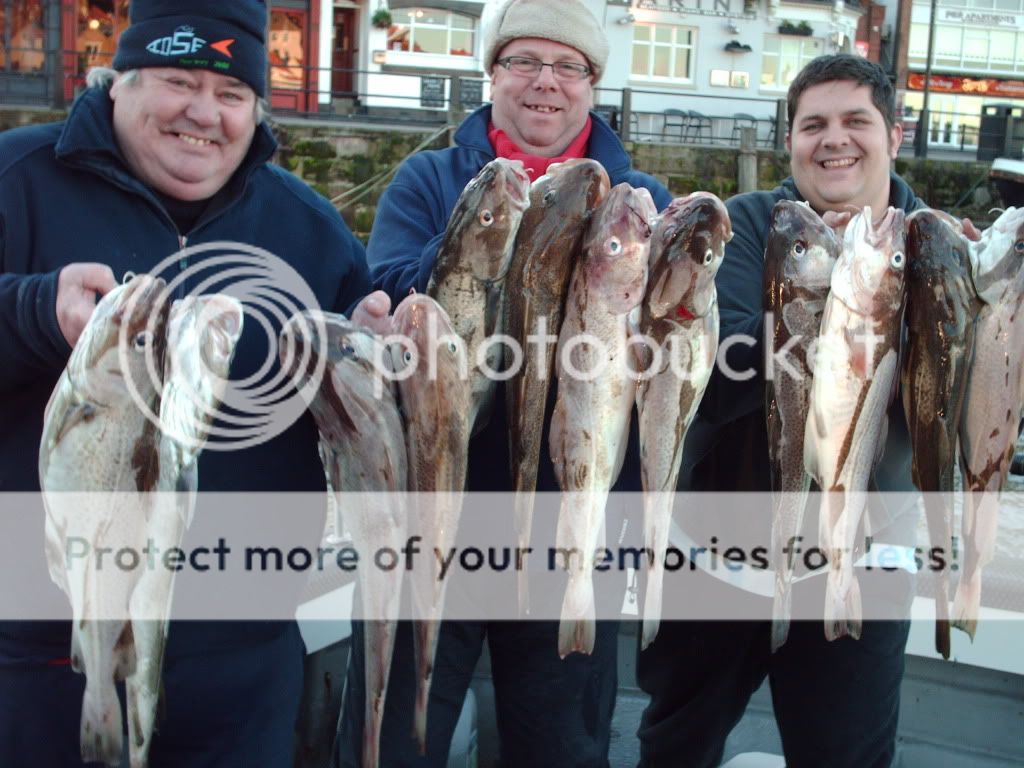 Sea-otter 2 the cod just keep coming. | World Sea Fishing Forums