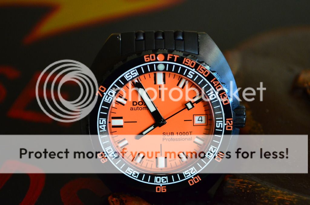 It's there any kind of consensus on the best looking orange diver ...