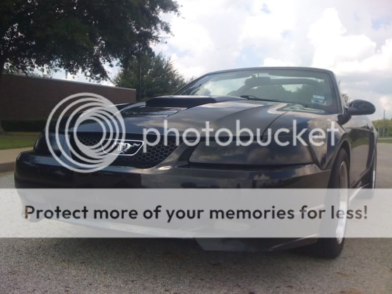 VHT nightshade how to make it shine | Modded Mustang Forums